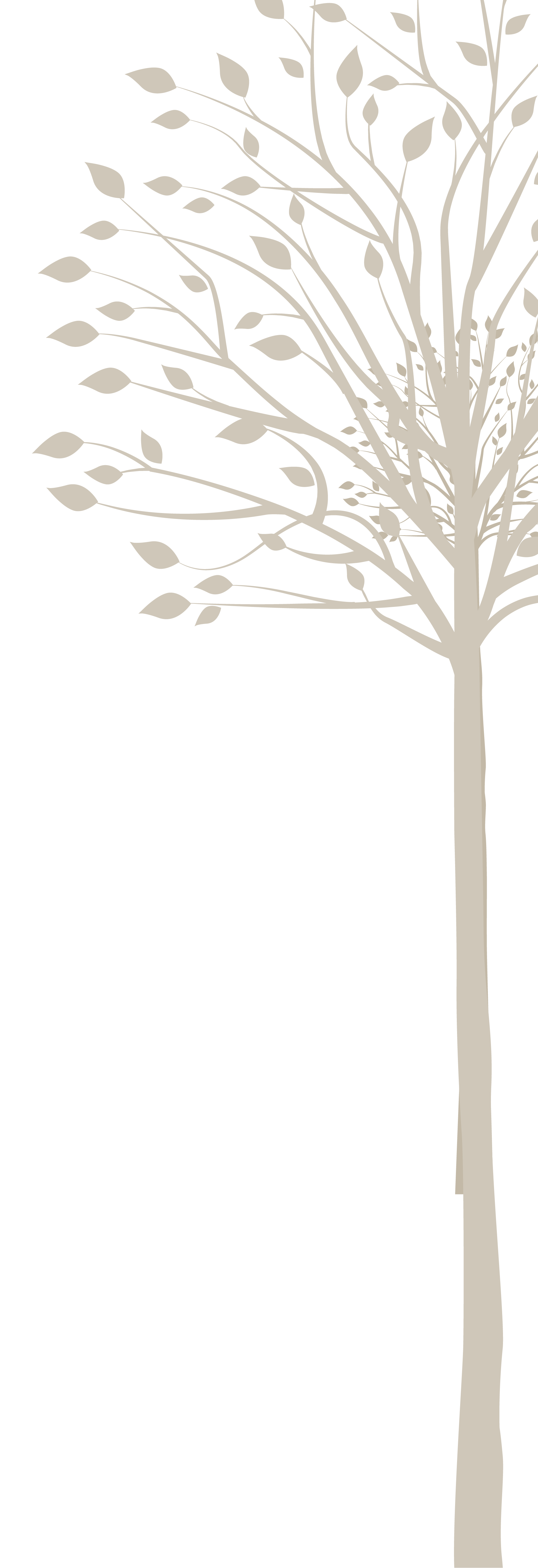 bg-tree-branches-leaves – Riviera